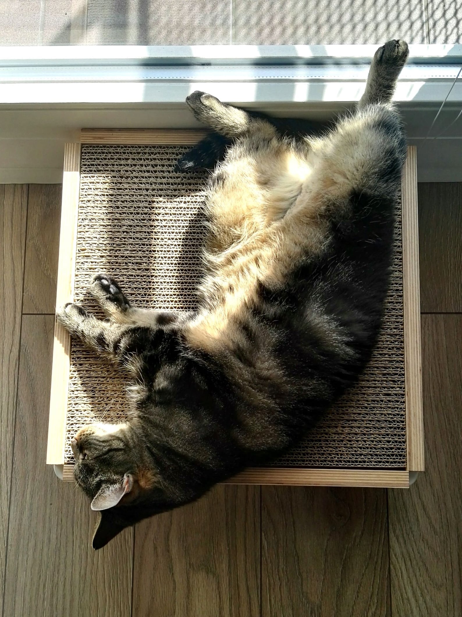 Beautiful and Stylish Scratching Post in Natural Birch Color | Etsy