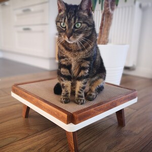 Beautiful and Stylish Scratching Post in Walnut Color scratch Pad From ...