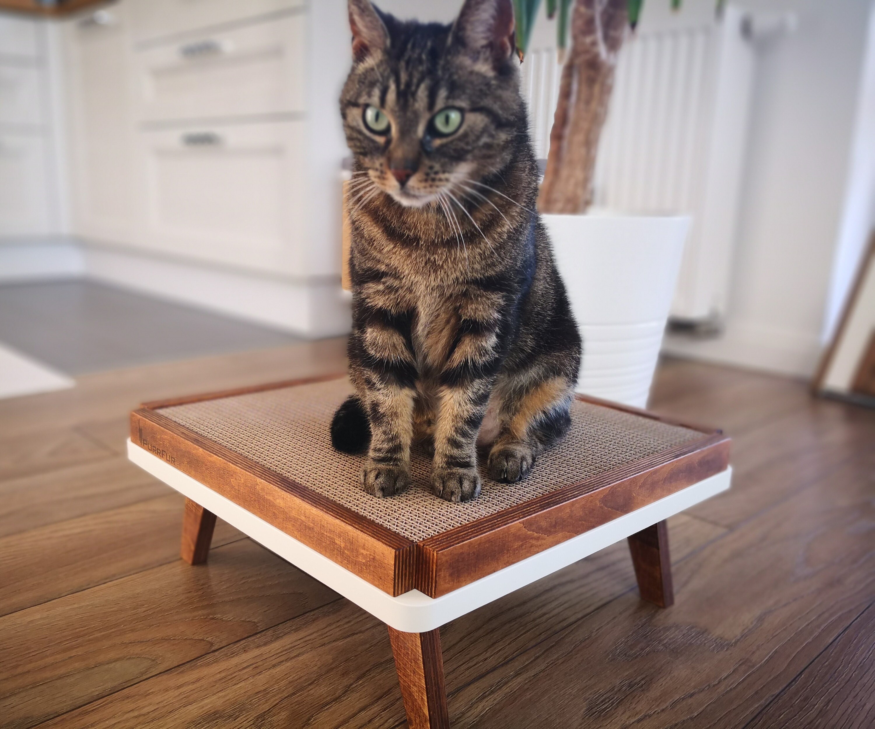Beautiful and Stylish Scratching Post in Walnut Color | Etsy
