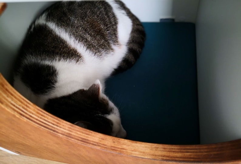 Cozy Cube Cat Box Made From Plywood in Walnut Finish by | Etsy