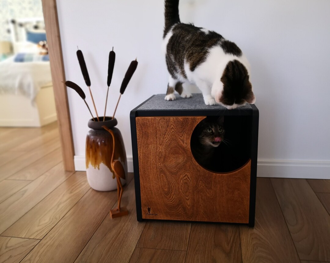 Cozy Cube Cat Cave Made From Plywood in Walnut Finish by - Etsy