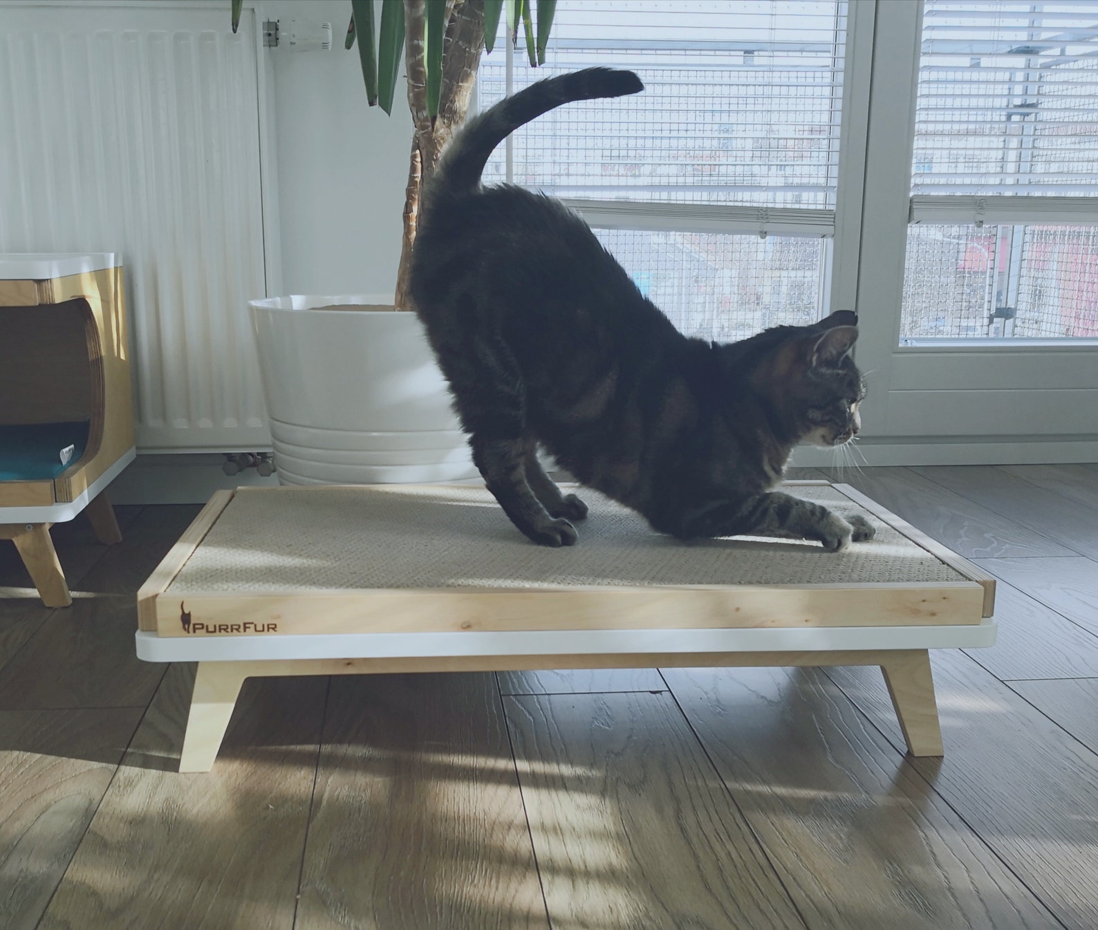 Beautiful Cardboard Scratching Post in Modern Design - Etsy