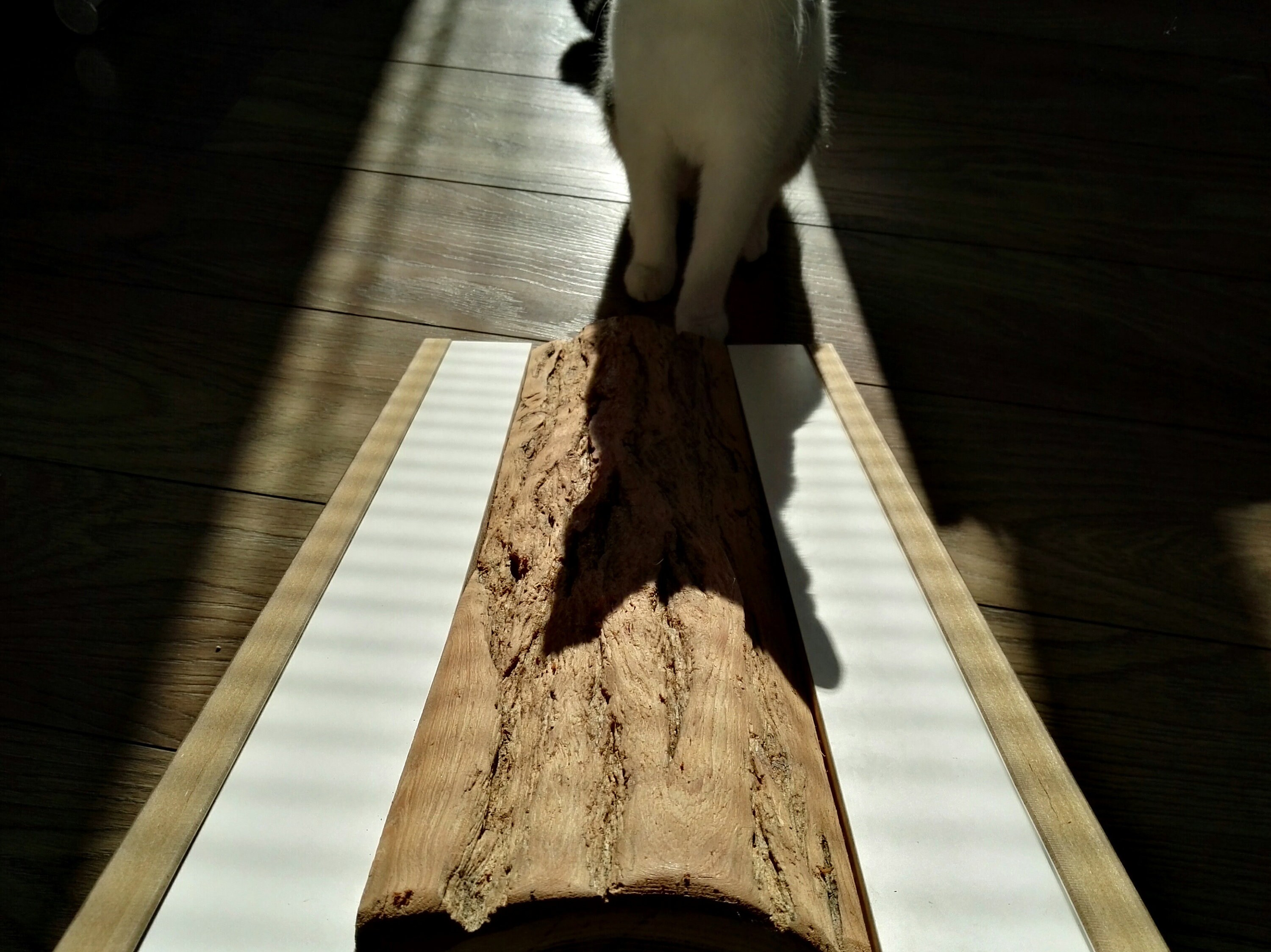 Wooden Scratching Post Natural Cat Tree Cat Scratcher - Etsy