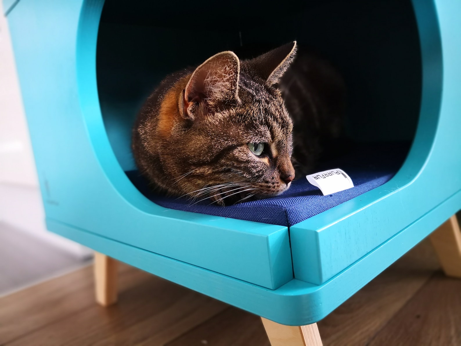 One of a Kind Bedside Cabinet Turquoise Blue Cat House Cat | Etsy