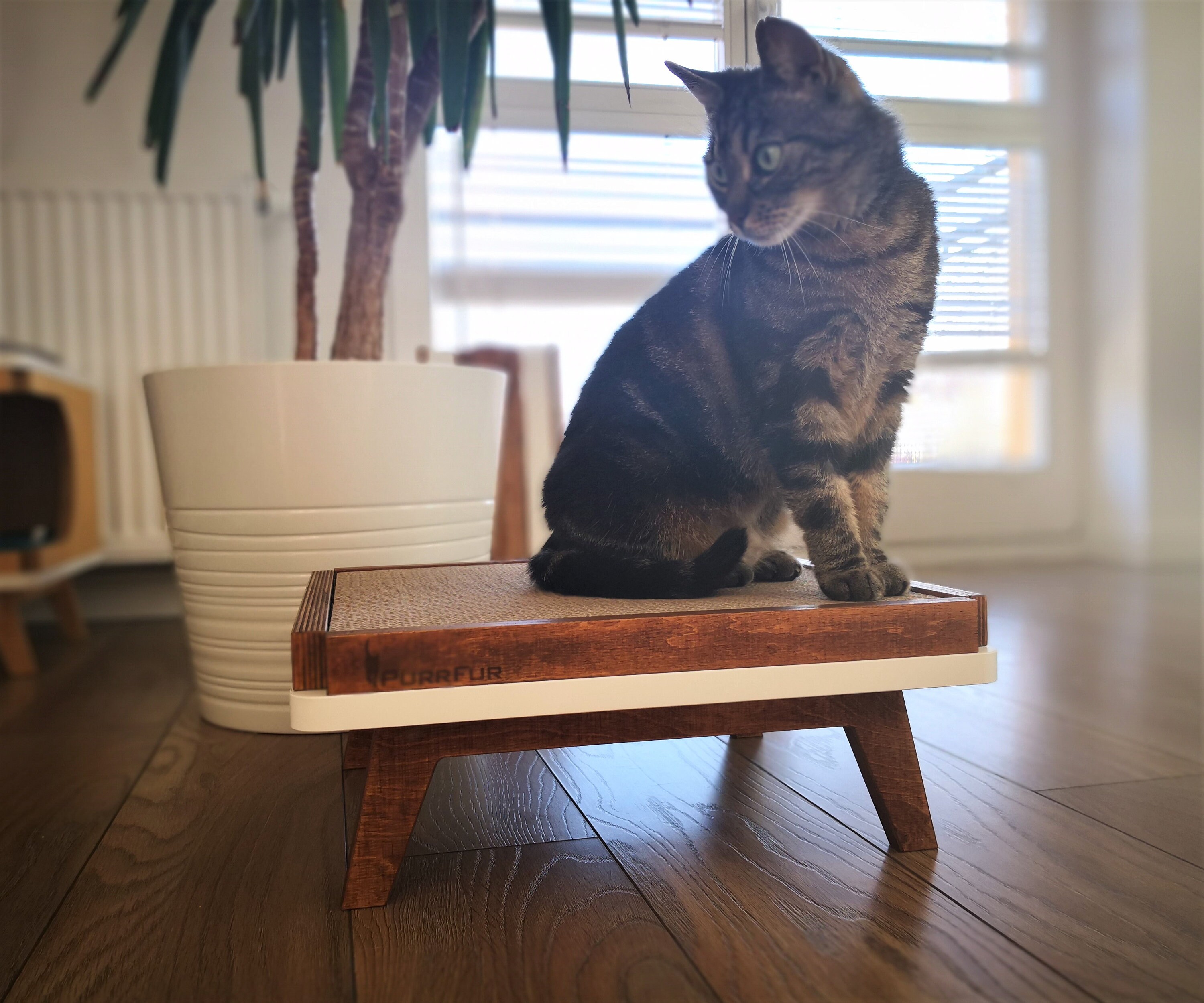 Beautiful and Stylish Scratching Post in Walnut Color | Etsy