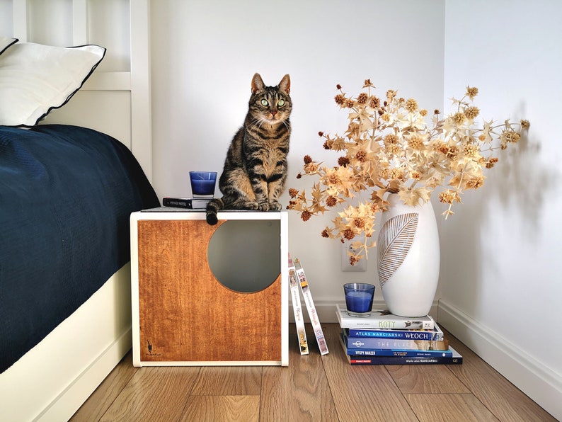 Cozy Cube Cat Box Made From Plywood in Walnut Finish by | Etsy