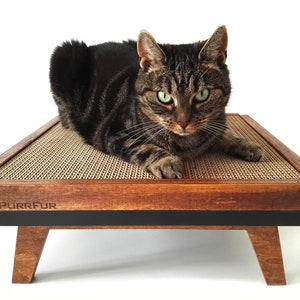 Beautiful and Stylish Scratching Post "scratch Pad" in Walnut Color ...