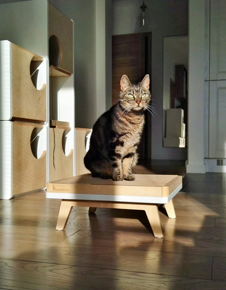 Beautiful and Stylish Scratching Post in Natural Birch Color - Etsy