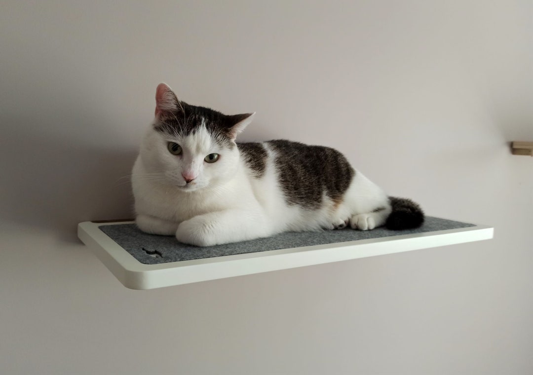 Plywood Cat Shelf in White, Cat Bed From Purrfur - Etsy