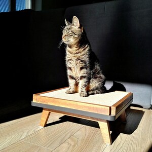 Beautiful and Stylish Scratching Post "scratch Pad" in Walnut Color ...
