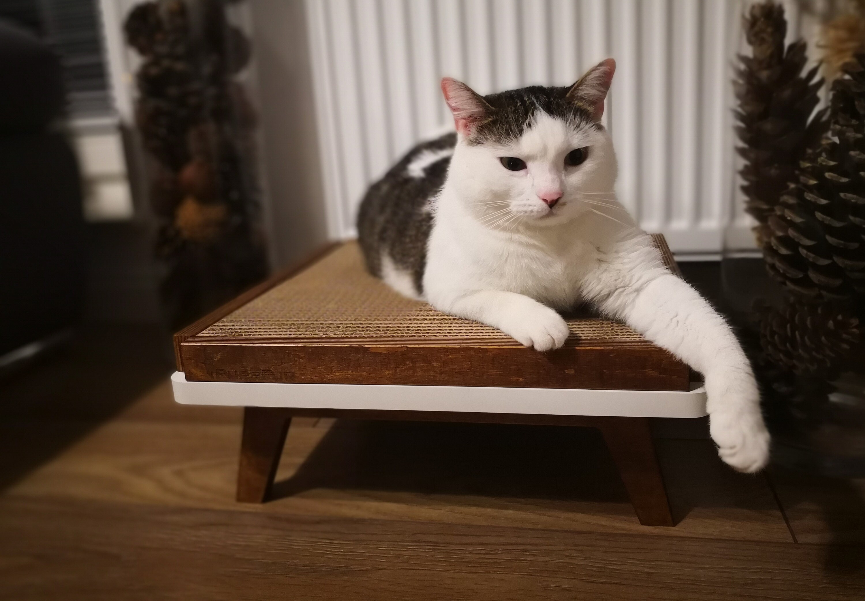 Beautiful and Stylish Scratching Post in Walnut Color | Etsy