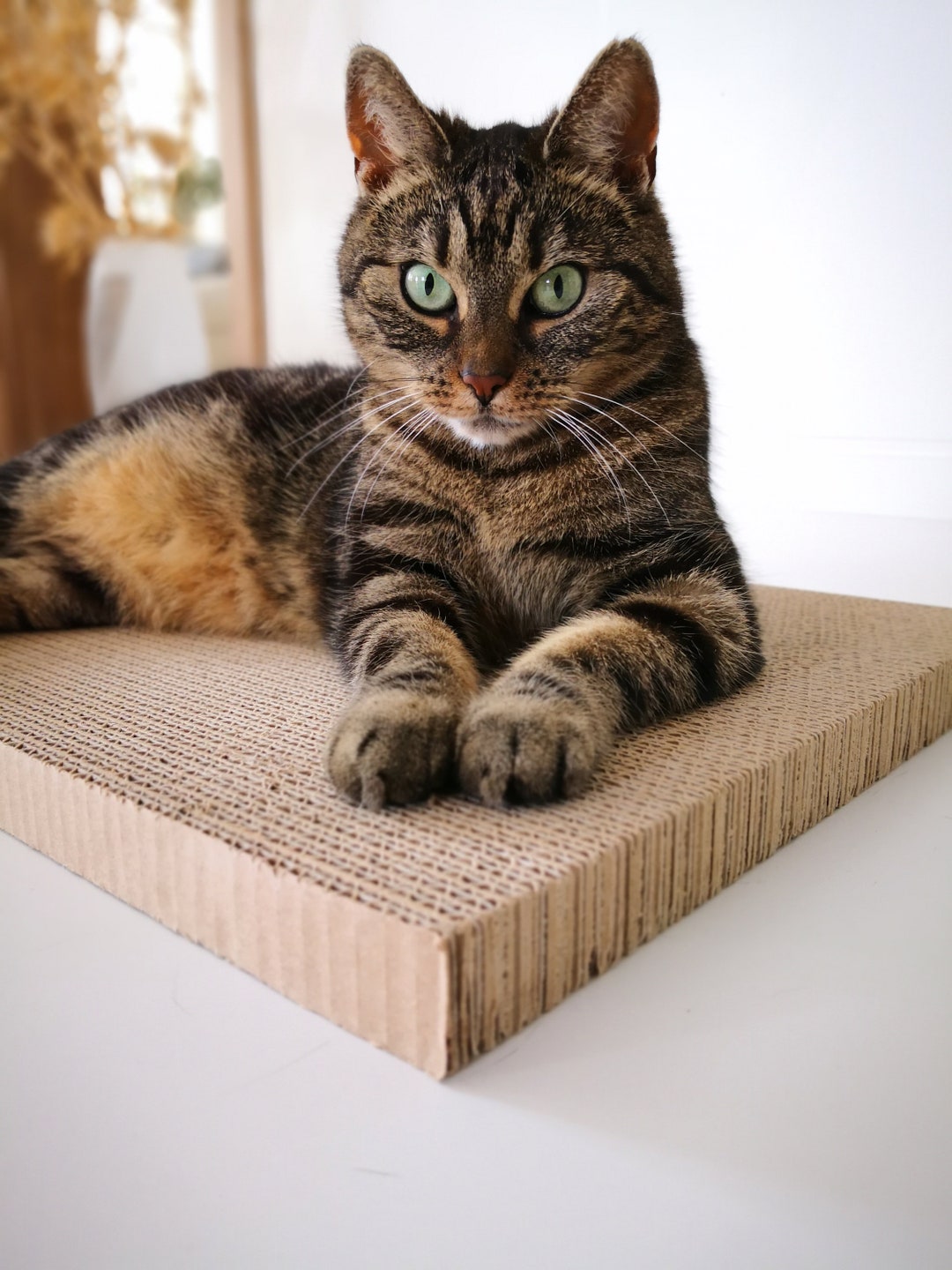 Cardboard Insert for Purrfur Scratch Long for Replace With Two-sided ...