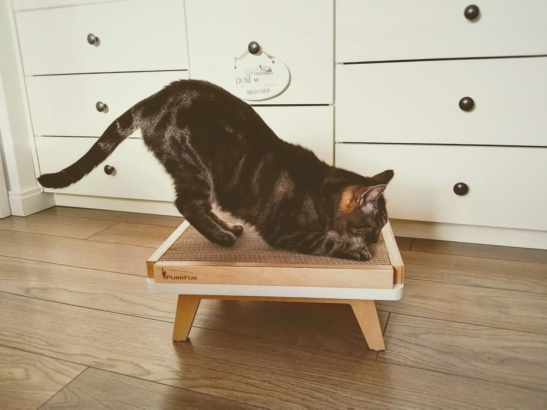 Beautiful and Stylish Scratching Post in Natural Birch Color "scratch ...