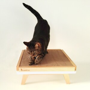 Beautiful and Stylish Scratching Post "scratch Pad" in Walnut Color ...
