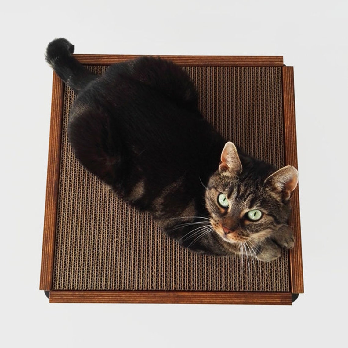 Beautiful and Stylish Scratching Post in Walnut Color - Etsy