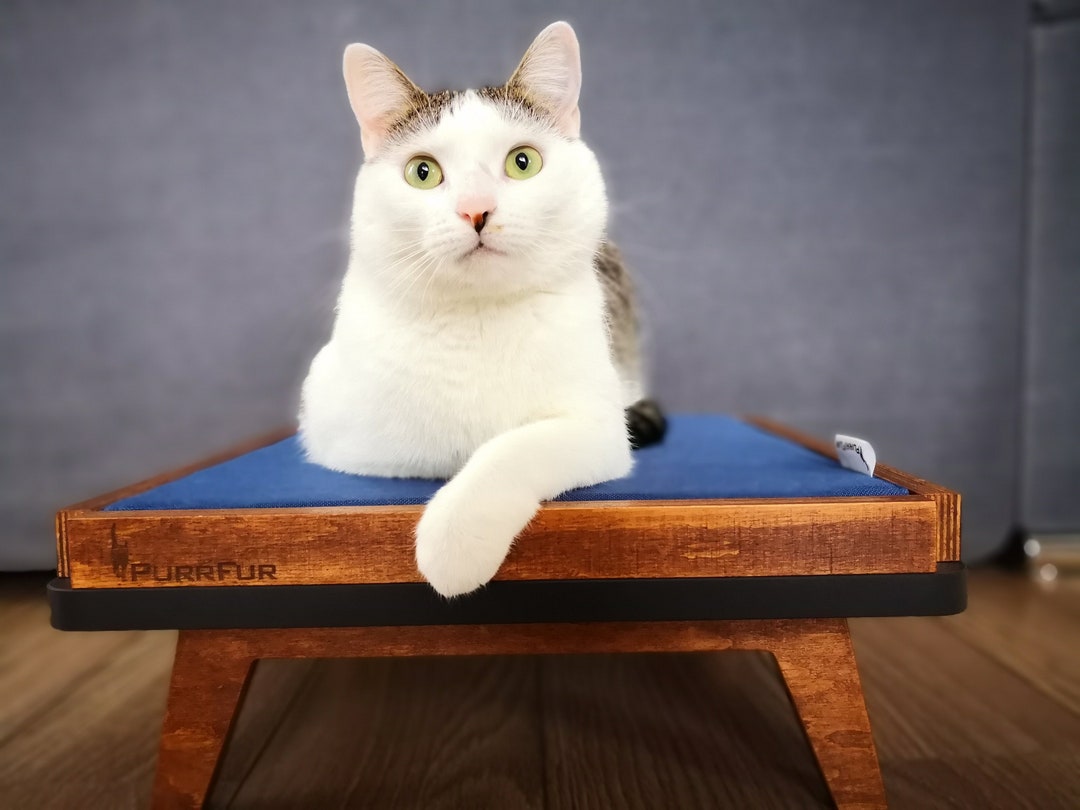 Plywood Cat Bed "cat Pad" With Replaceable Cushion in Walnut Color From ...