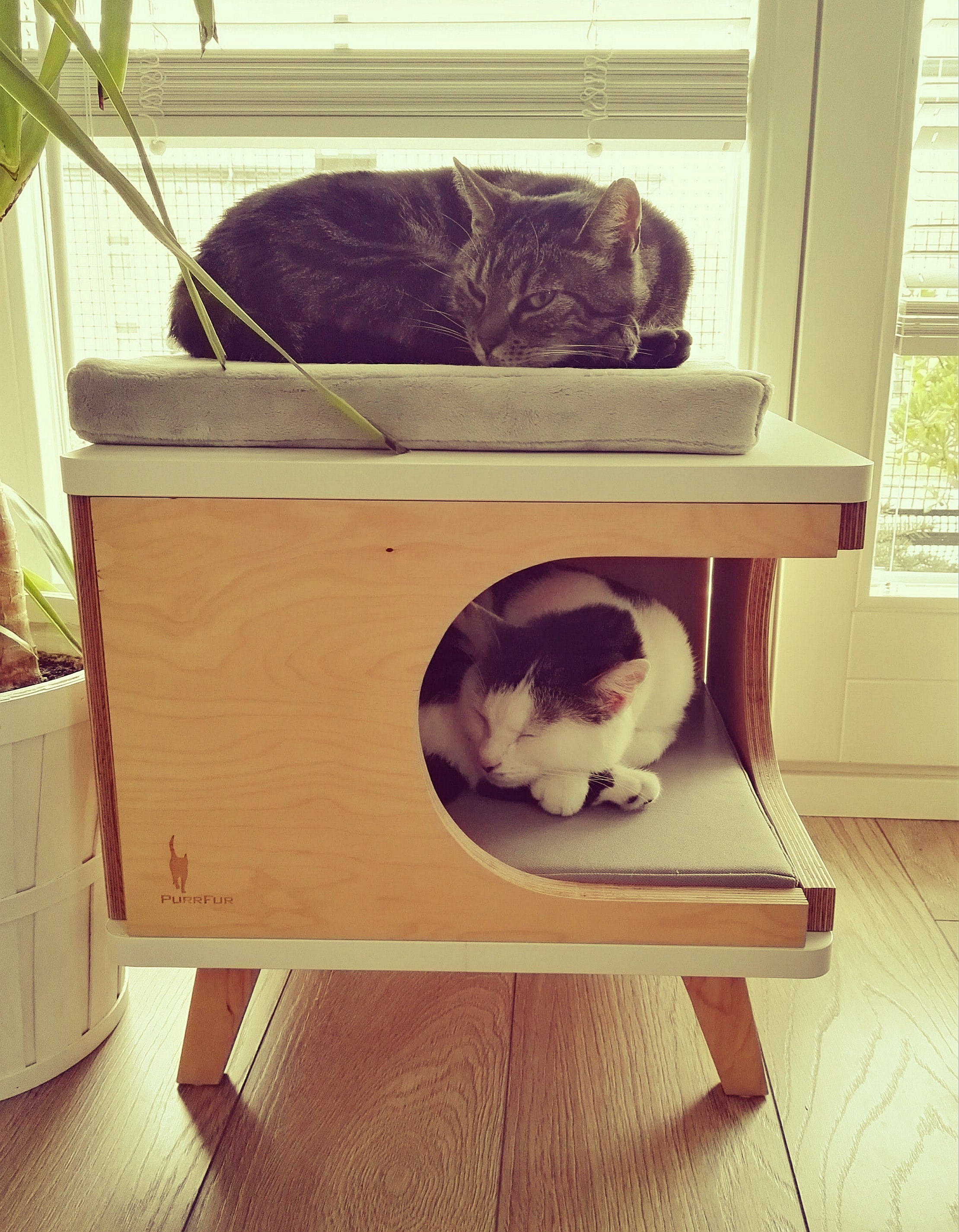 Modern Cat House Made From Plywood in Scandinavian Design - Etsy Canada
