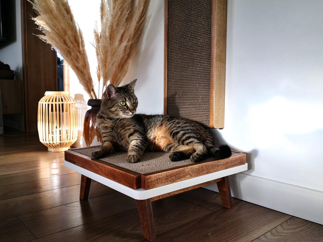 Beautiful and Stylish Scratching Post in Walnut Color "scratch Pad ...