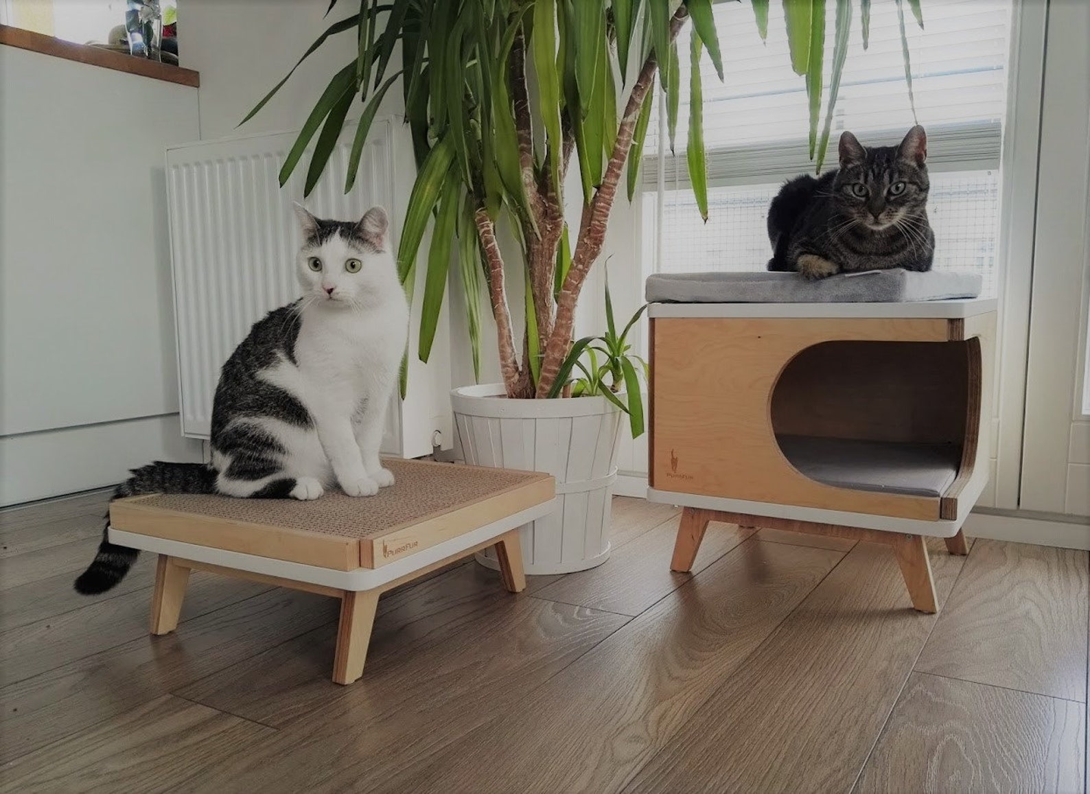 Beautiful and Stylish Scratching Post in Natural Birch Color | Etsy