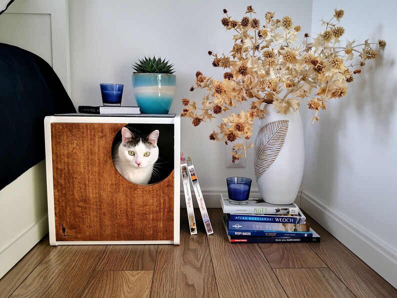 Cozy Cube Cat Box Made From Plywood in Walnut Finish by | Etsy