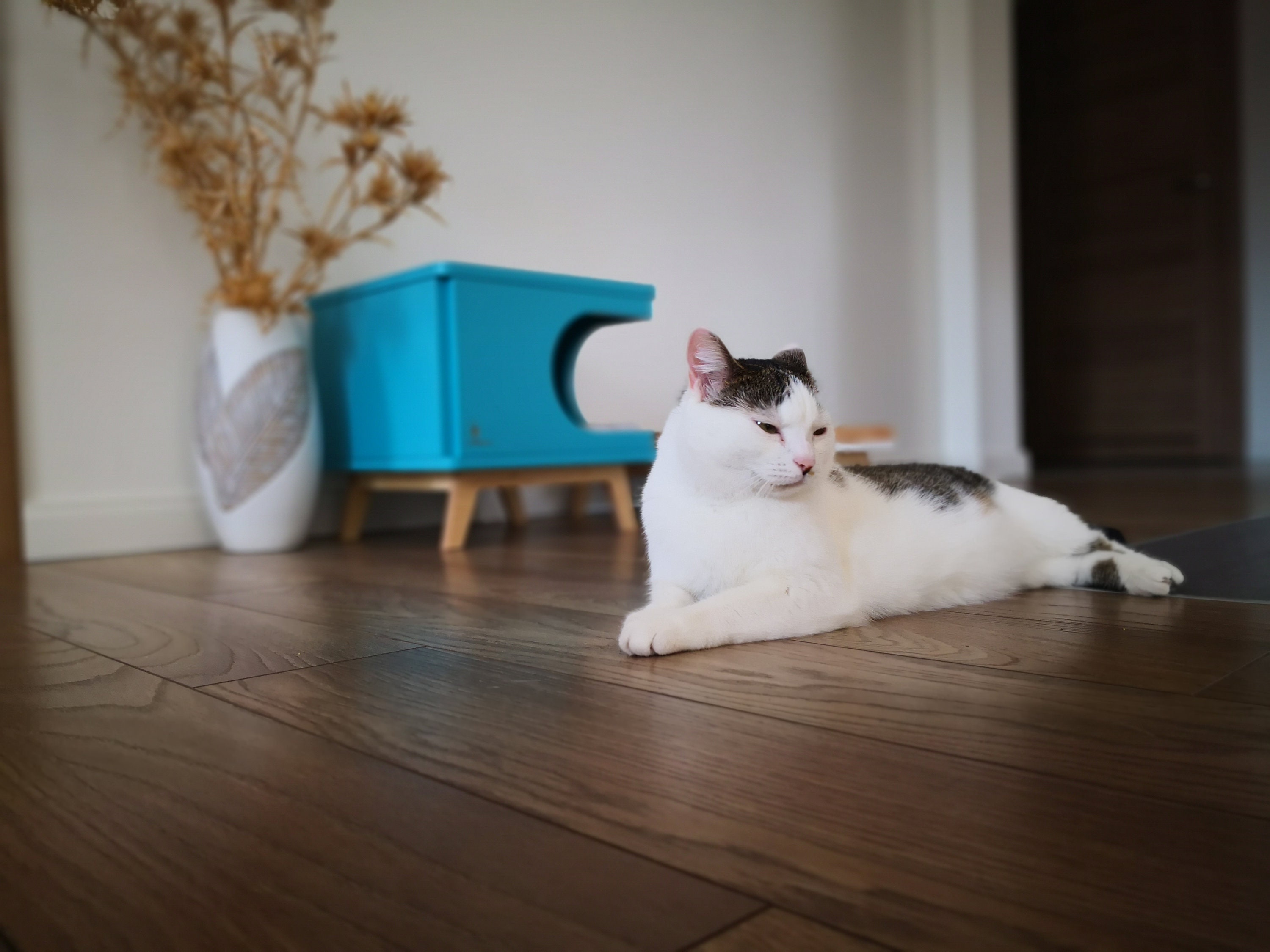 One of a Kind Bedside Cabinet Turquoise Blue Cat House Cat - Etsy UK