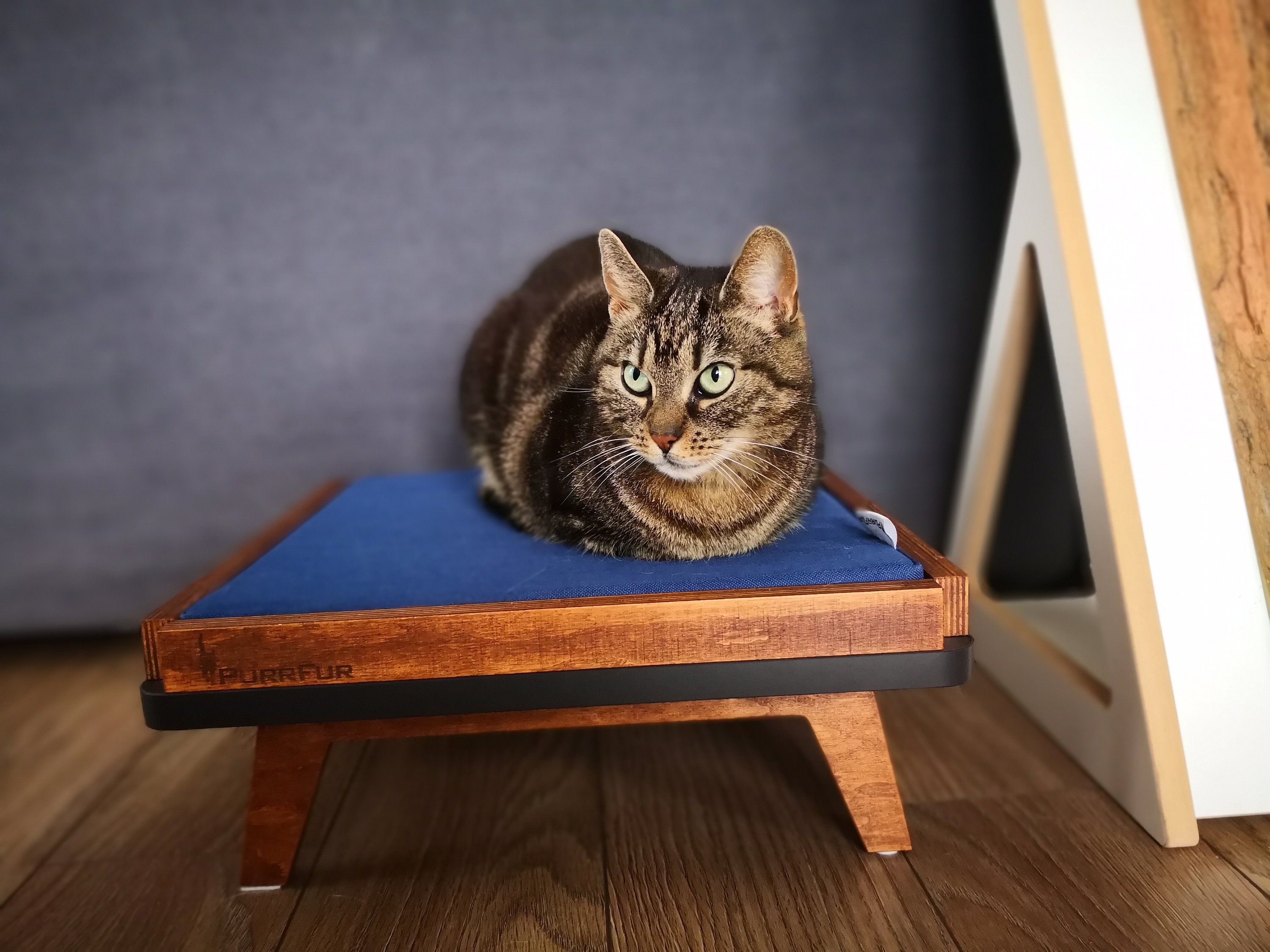 Plywood Cat Bed cat Pad With Replaceable Cushion - Etsy