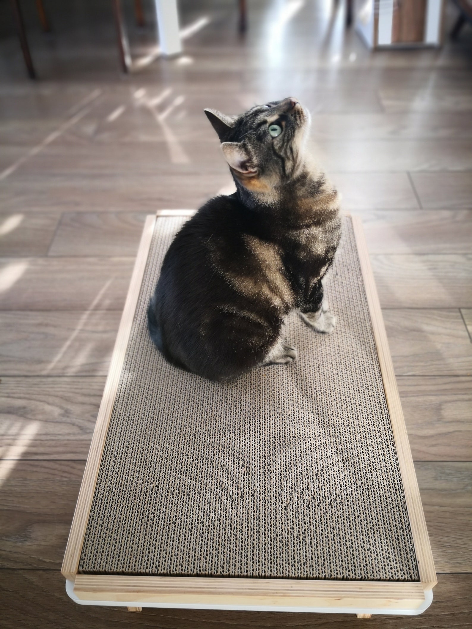 Beautiful Cardboard Scratching Post in Modern Design - Etsy