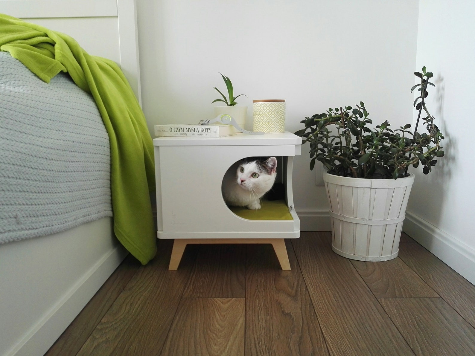 Sleeping Place White Cat House With Cushion Cat Bed | Etsy