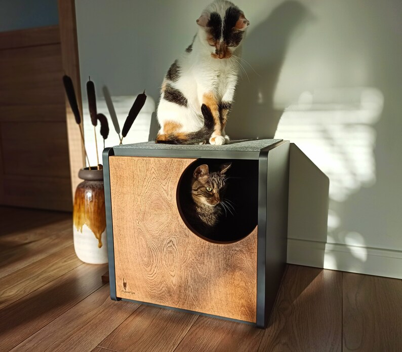 Cozy Cube Cat Cave Made From Plywood in Walnut Finish by Purrfur - Etsy