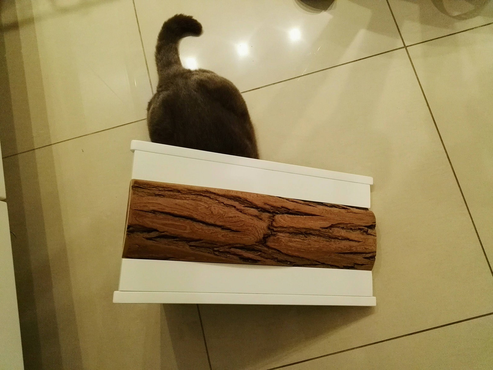 Wooden scratching post natural cat tree acacia bark | Etsy
