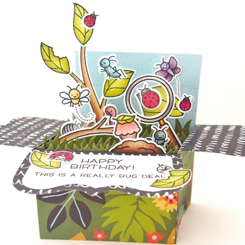 Bug Insect Pop up 3D Birthday Card Customisable Boy Girl - Etsy