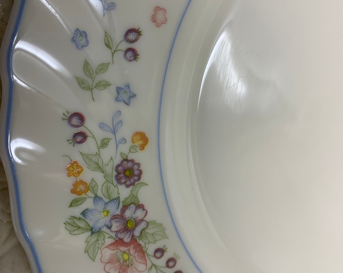 Vintage Arcopal France Victoria Pattern Dishes - Etsy Canada