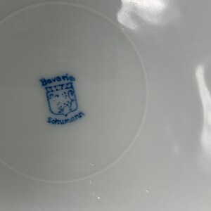 Antique Schumann Bavaria Germany China Bowl, Parrot Motif Reticulated ...