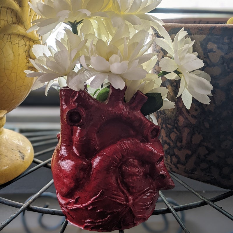 Anatomical Heart Vase - Etsy