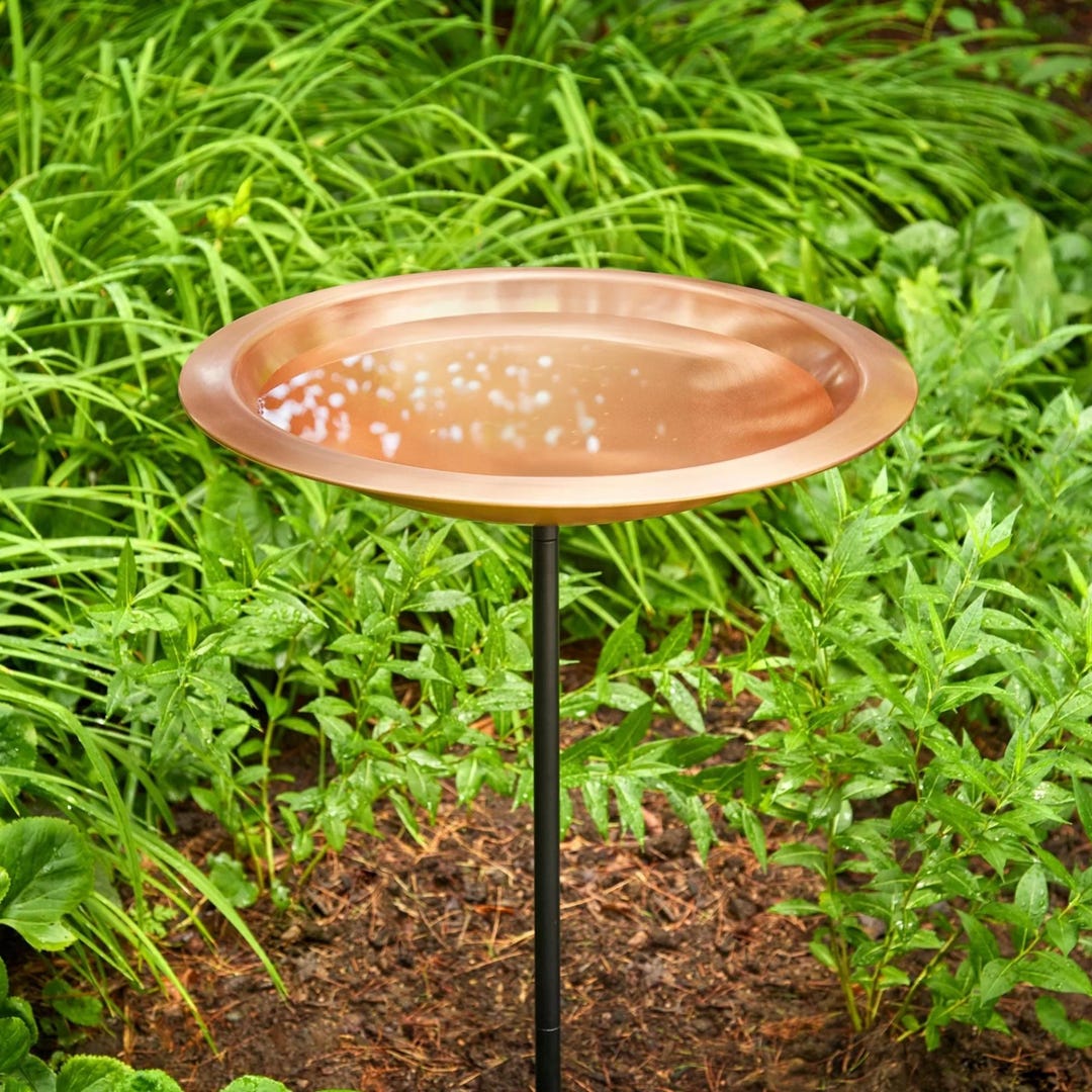 Good Directions 18" Copper Bird Bath With Garden Pole – Matte Finish - Etsy