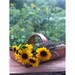 Large Pure Copper Garden Trug Basket - Etsy