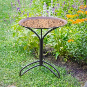 20” Rust Bird Bath With Stand - Etsy