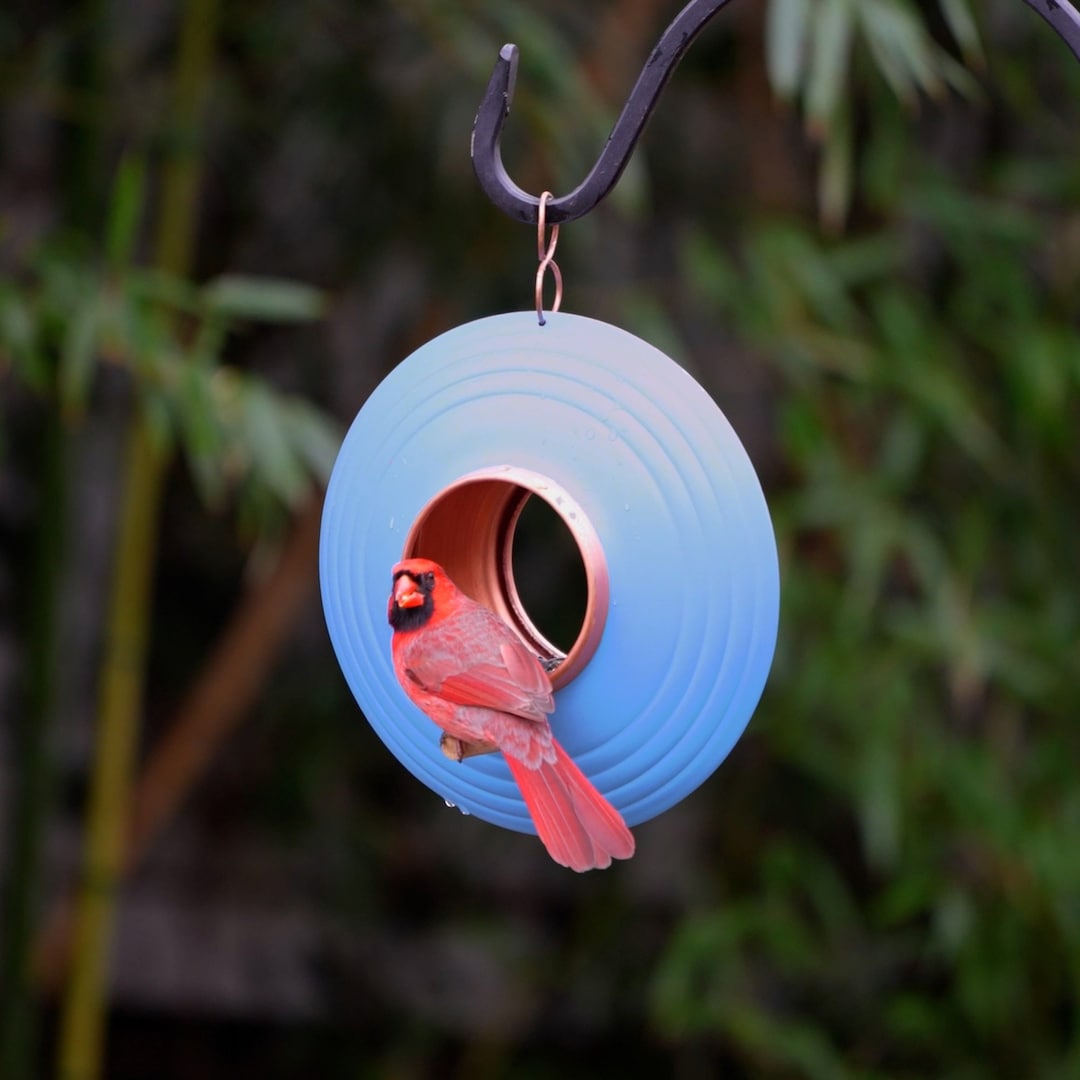 Azure Fly-thru Bird Feeder - Etsy