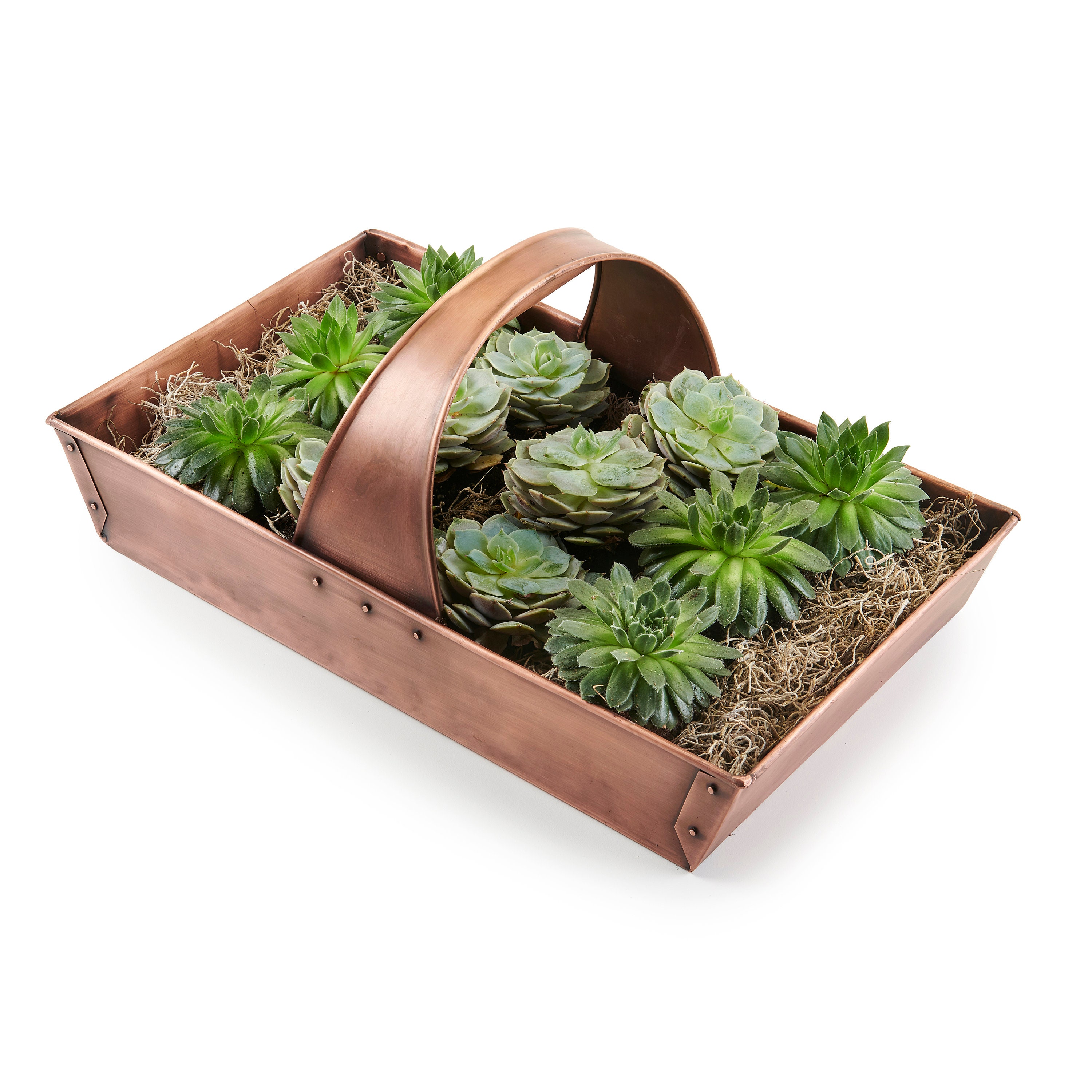 Large Pure Copper Garden Trug Basket - Etsy