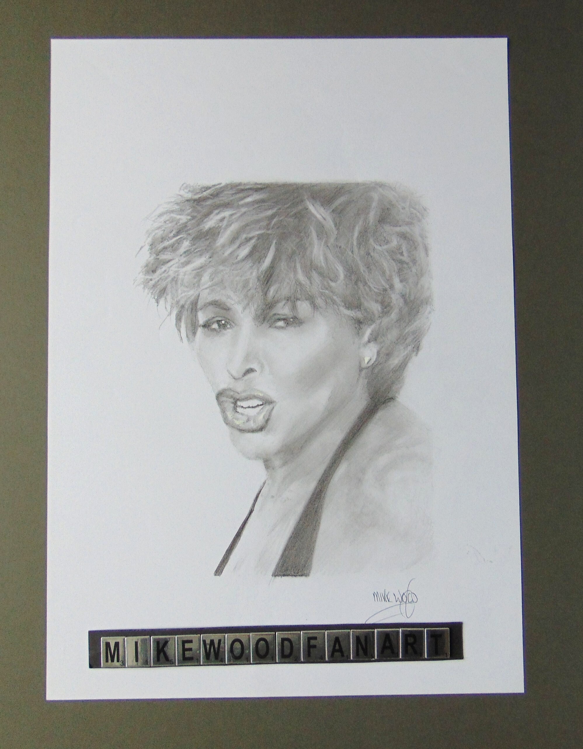 Tina Turner Portrait Drawing - Etsy