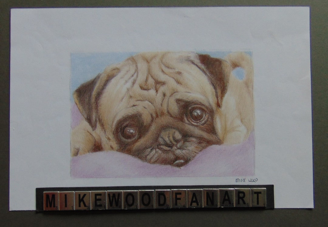 Pug Pencil Drawing - Etsy