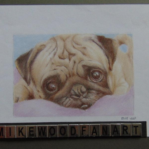 Pug Pencil Drawing - Etsy
