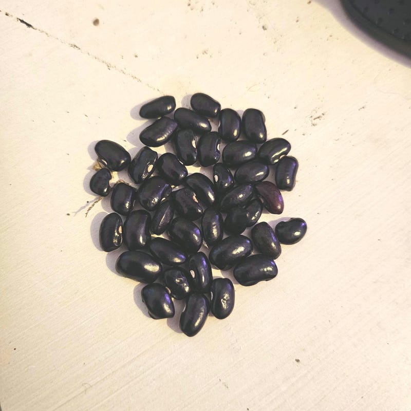 Cherokee Tears - Etsy