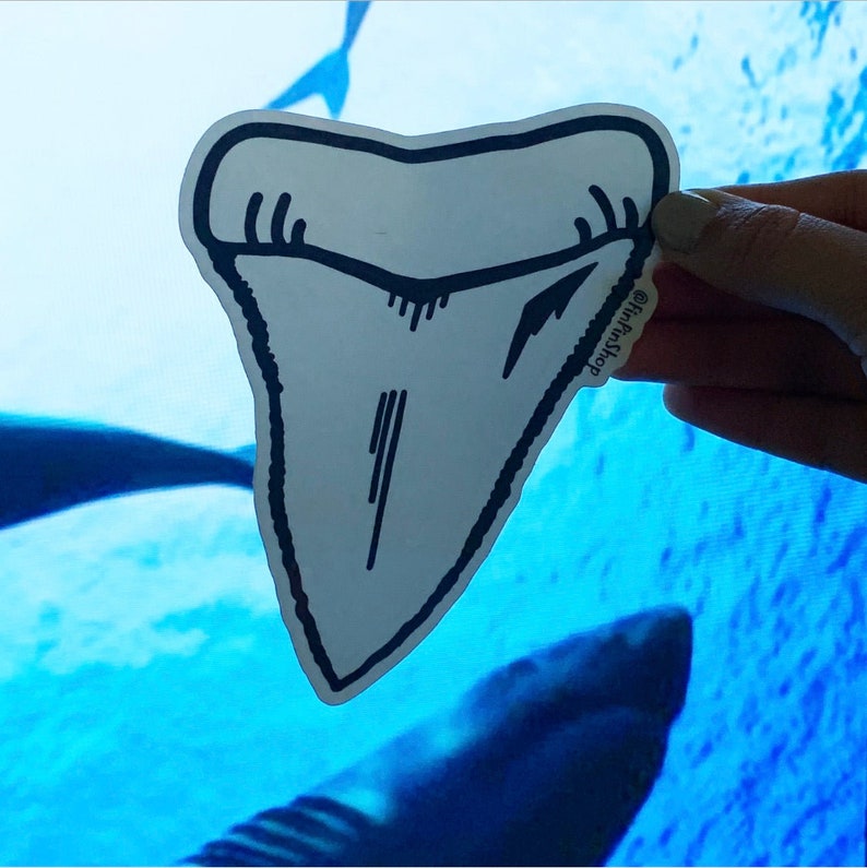 Shark Tooth Sticker - Etsy