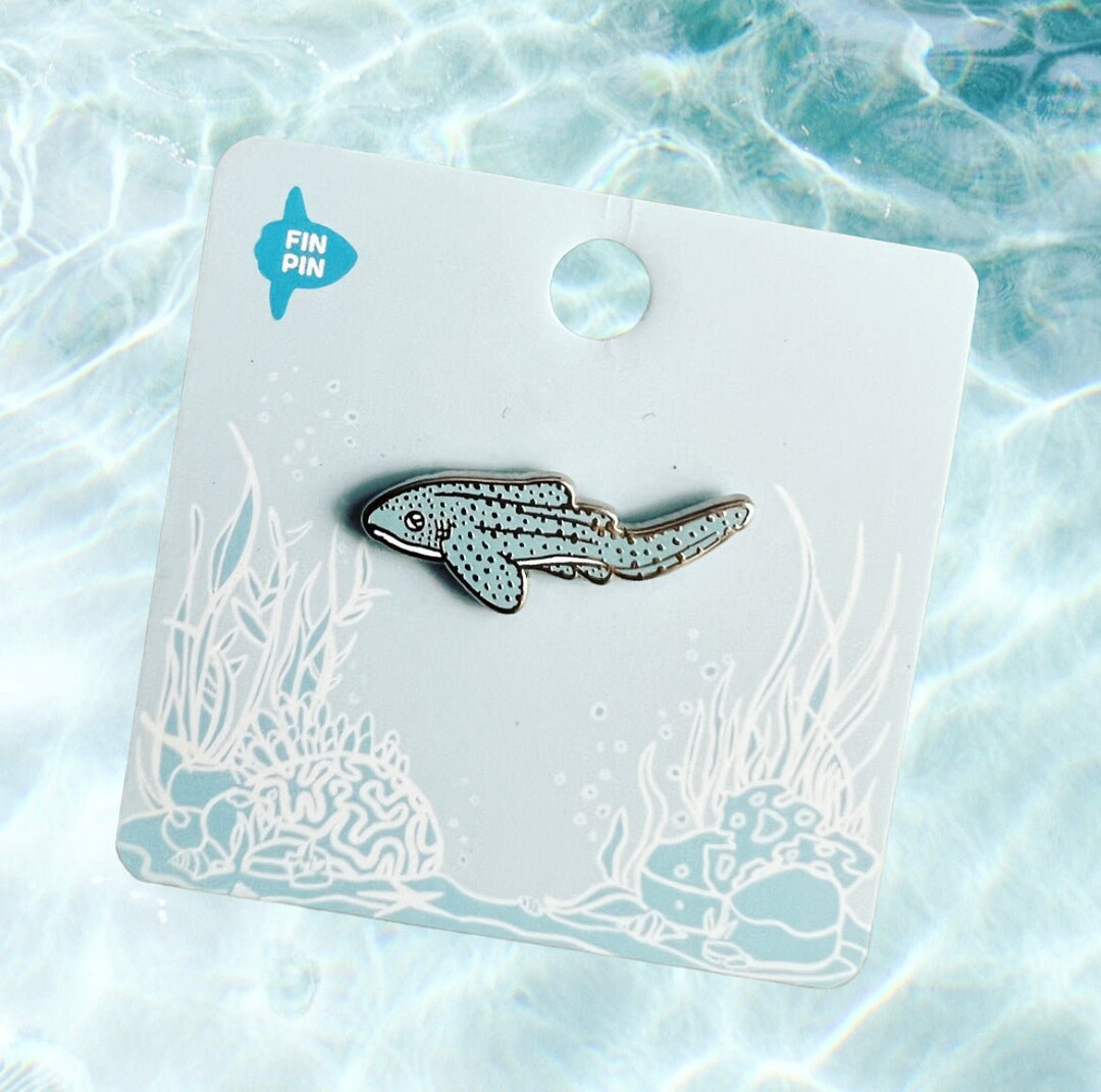 Patreon Blue Leopard/zebra Shark (stegostoma Fasciatum) Enamel Pin - Etsy