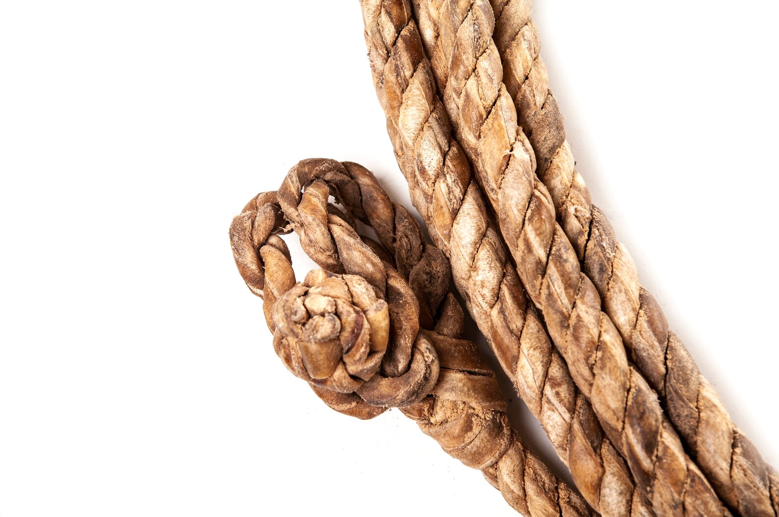 Ranch Rawhide Rope Lasso Cowboy Rope Braided Ranch Rope - Etsy