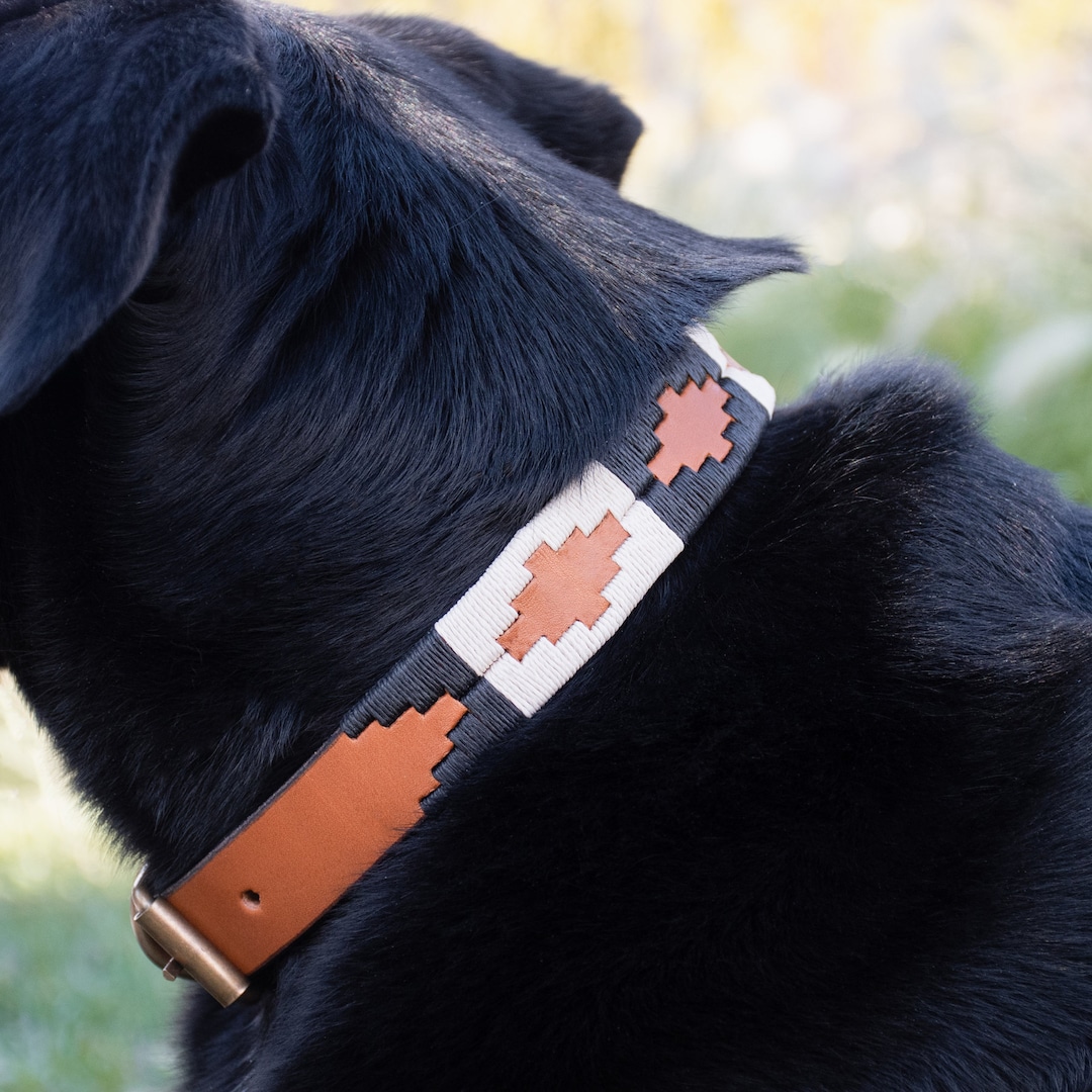 Leather Dog Collar Black & White Model - Etsy