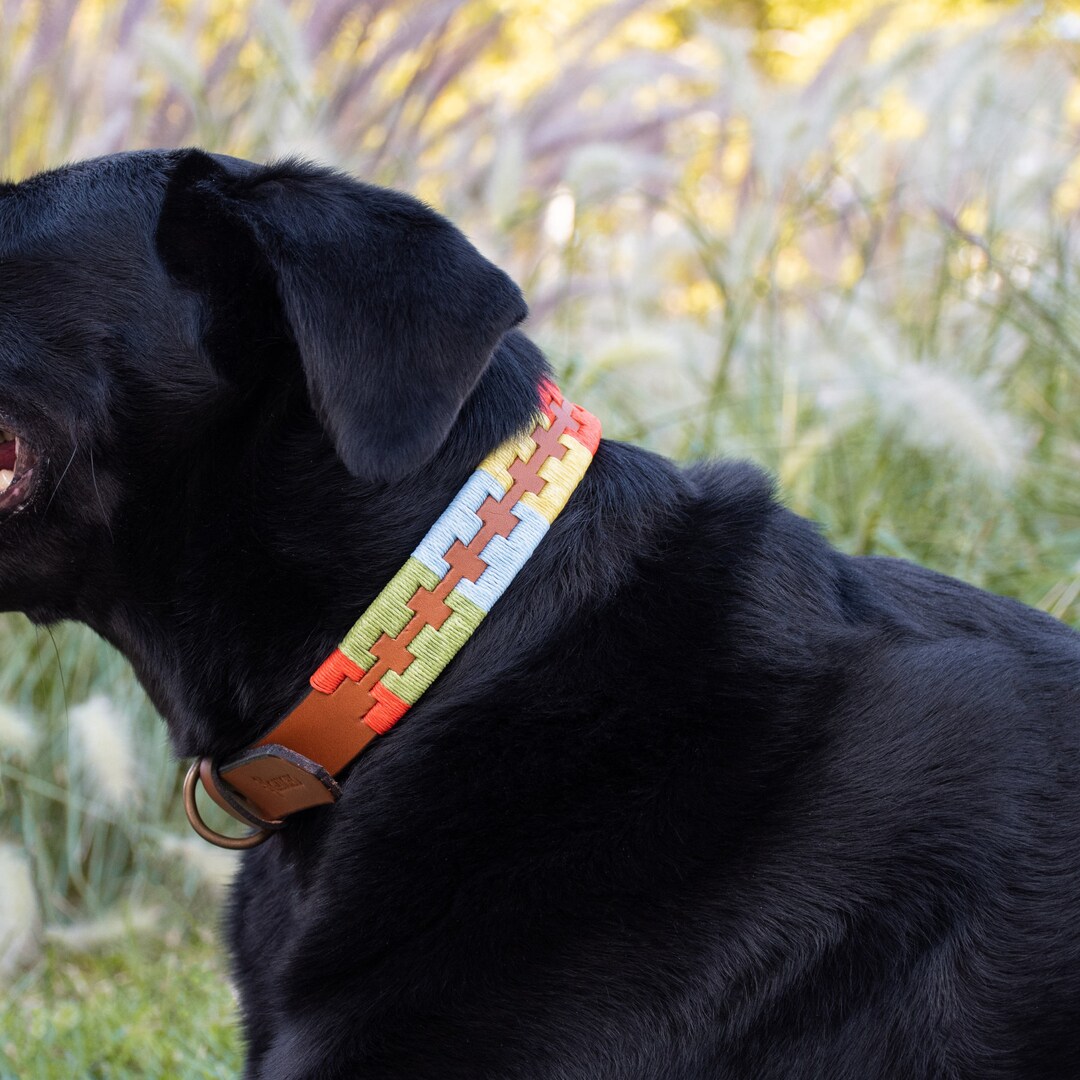 Leather Dog Collar Summer Model - Etsy