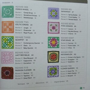 10 Granny Squares 30 Blankets - Color Schemes, Layouts, and Edge ...