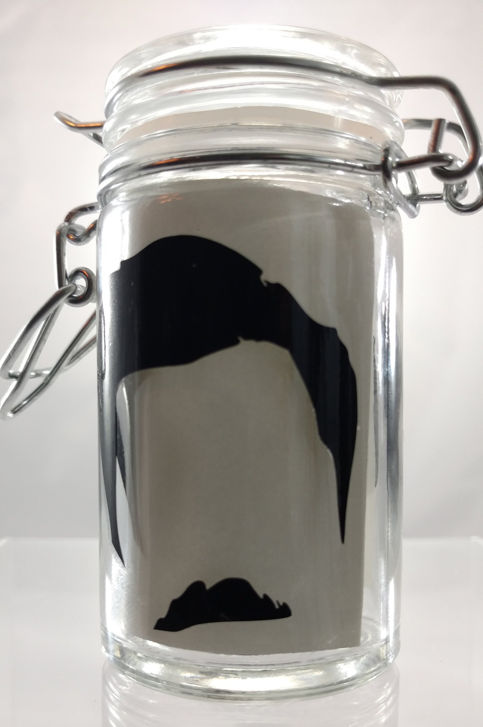Stache / Stash Jar Manly Stache Nick Offerman & - Etsy España